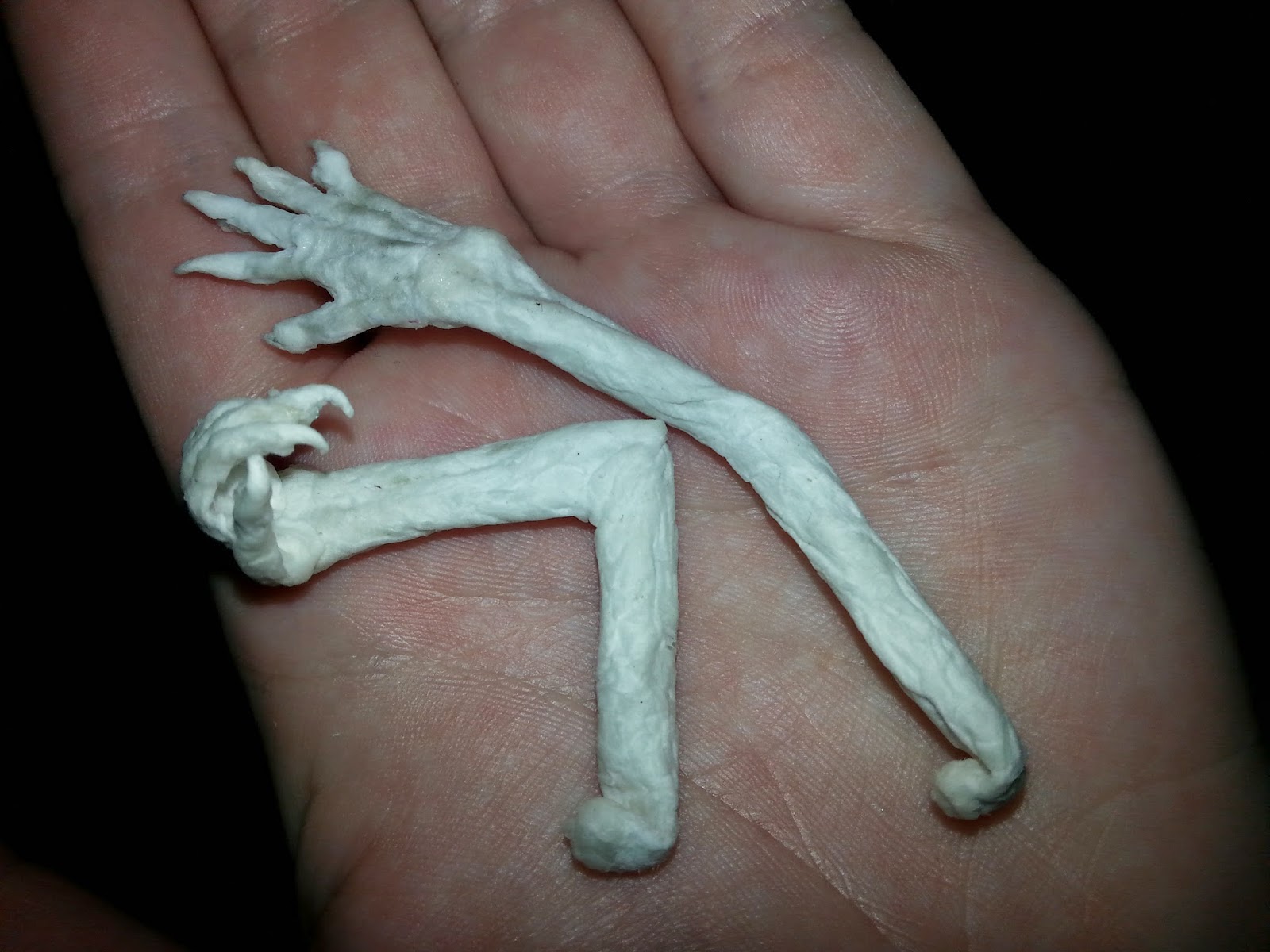 Mermaid tail and hands